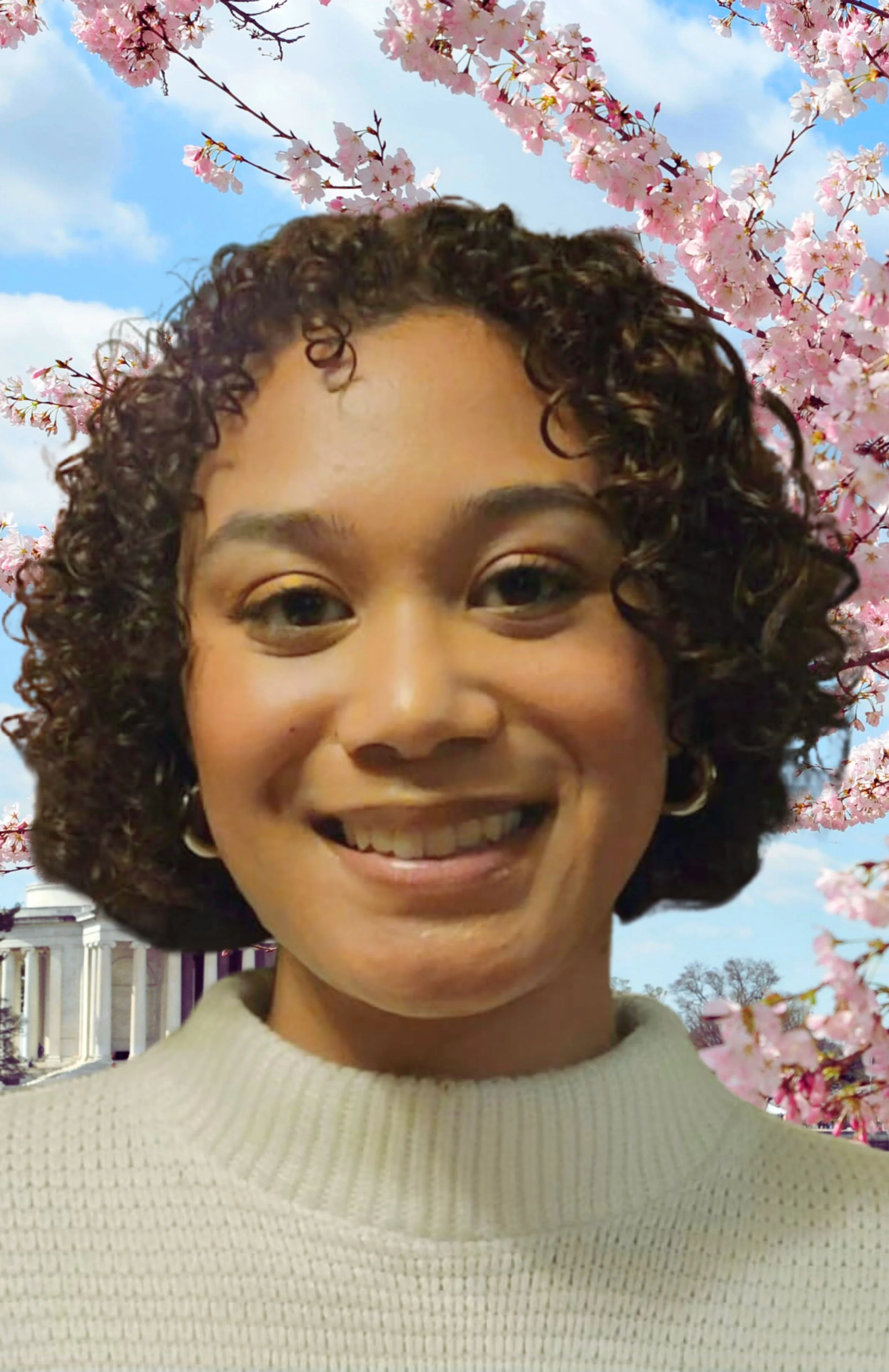 Digital Team — Black Women's Congressional Alliance