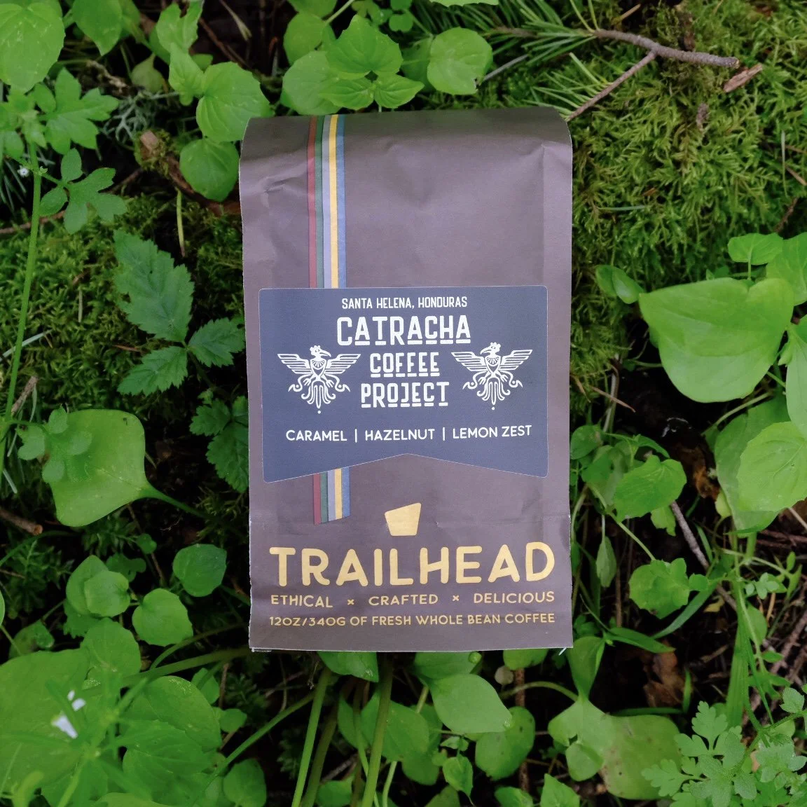 TRAILHEAD COFFEE ROASTERS