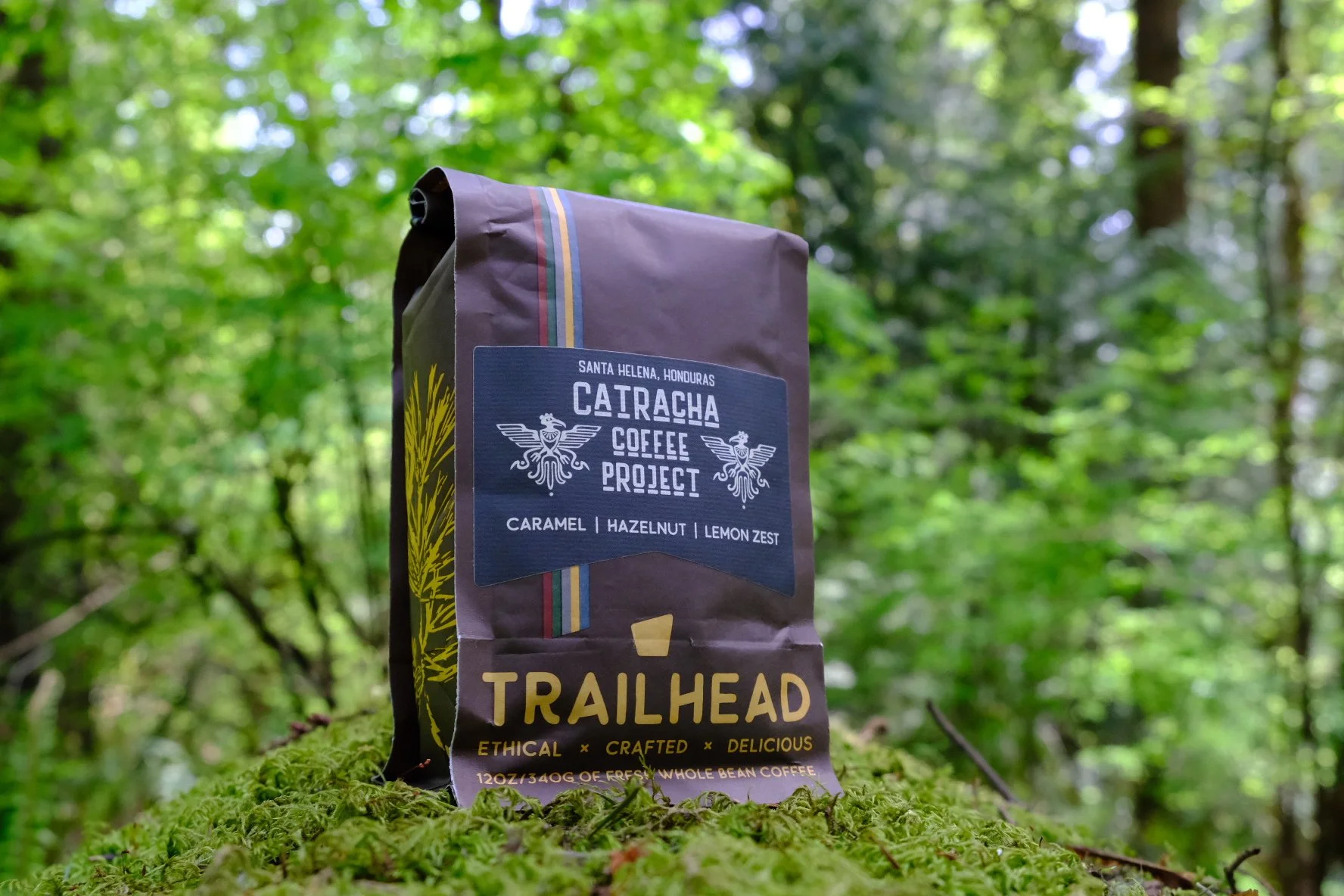 TRAILHEAD COFFEE ROASTERS