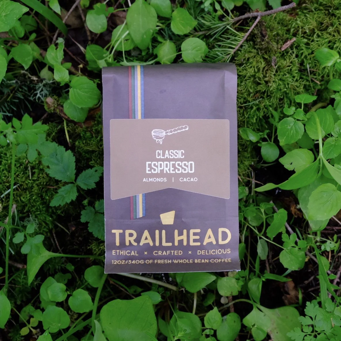 TRAILHEAD COFFEE ROASTERS