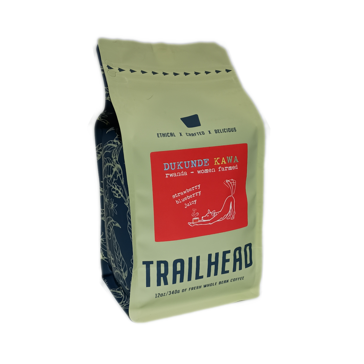 TRAILHEAD COFFEE ROASTERS