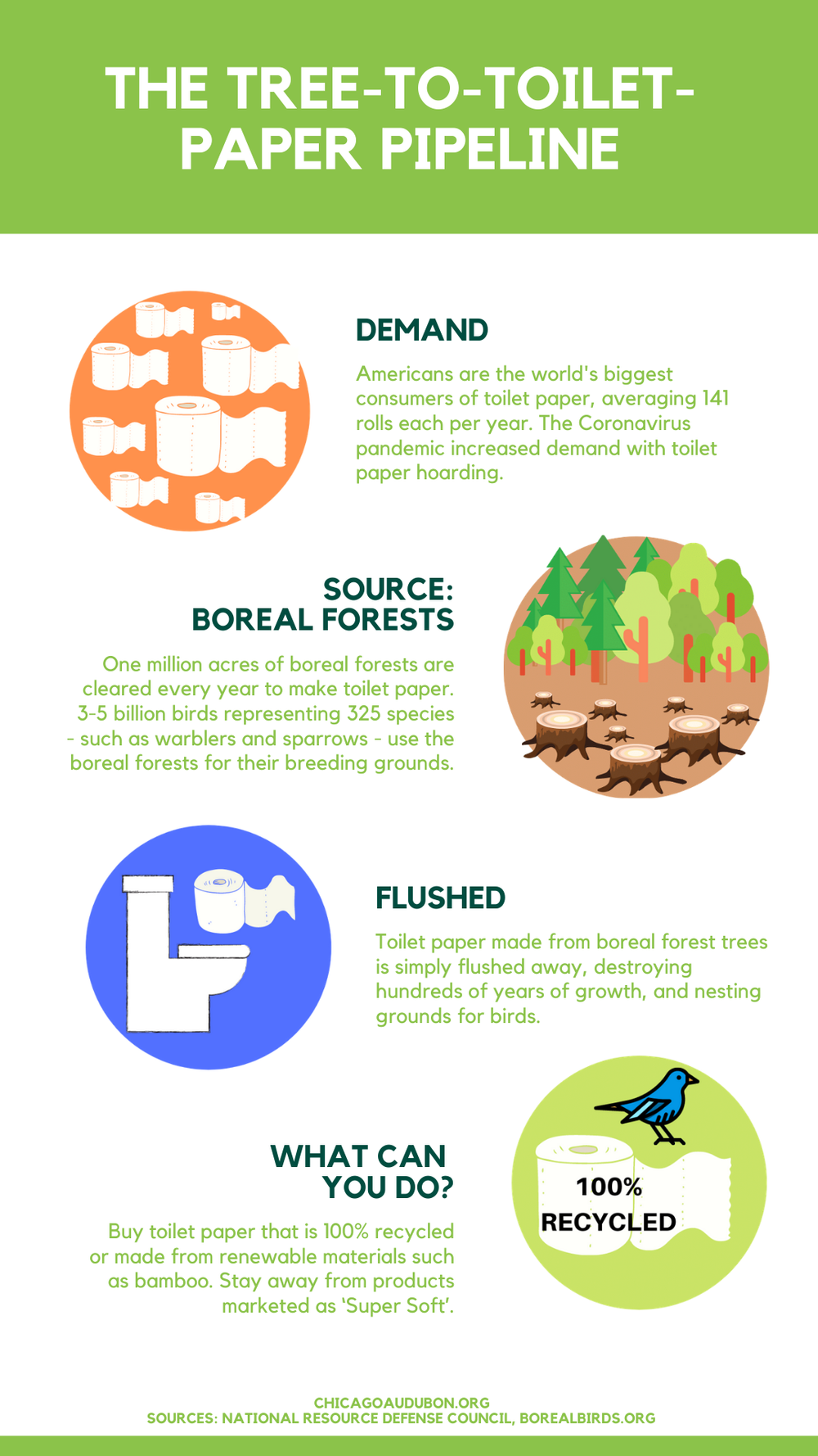 Infographic: The Tree to Toilet Paper Pipeline — Chicago Bird Alliance ...