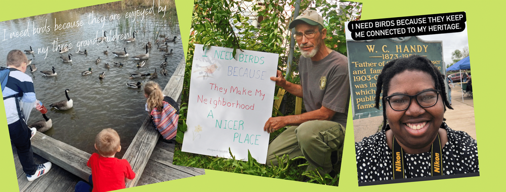 Donate — Chicago Bird Alliance (formerly Chicago Audubon Society)