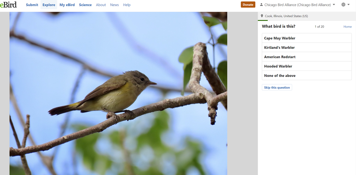 Tune Up For Spring! Using eBird to Study Birds — Chicago Bird Alliance ...