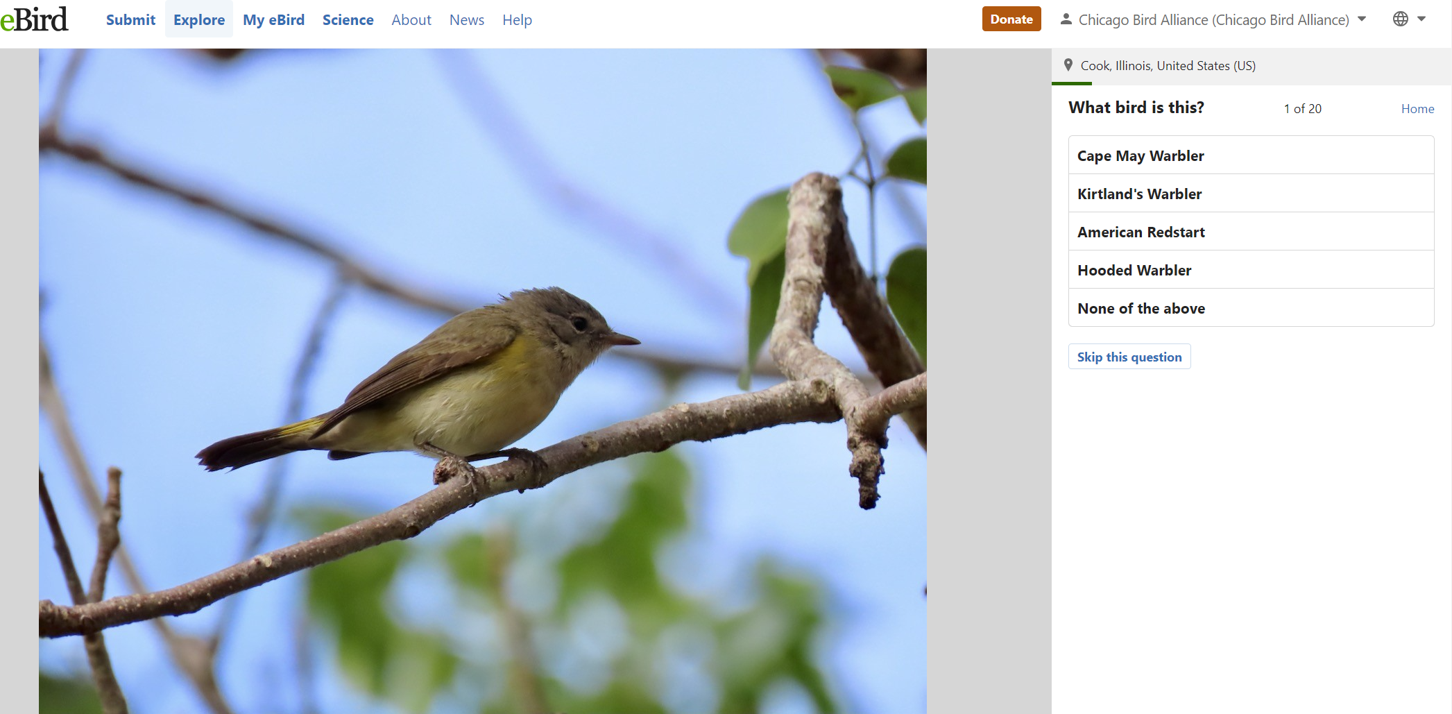 Tune Up For Spring! Using eBird to Study Birds — Chicago Bird Alliance ...