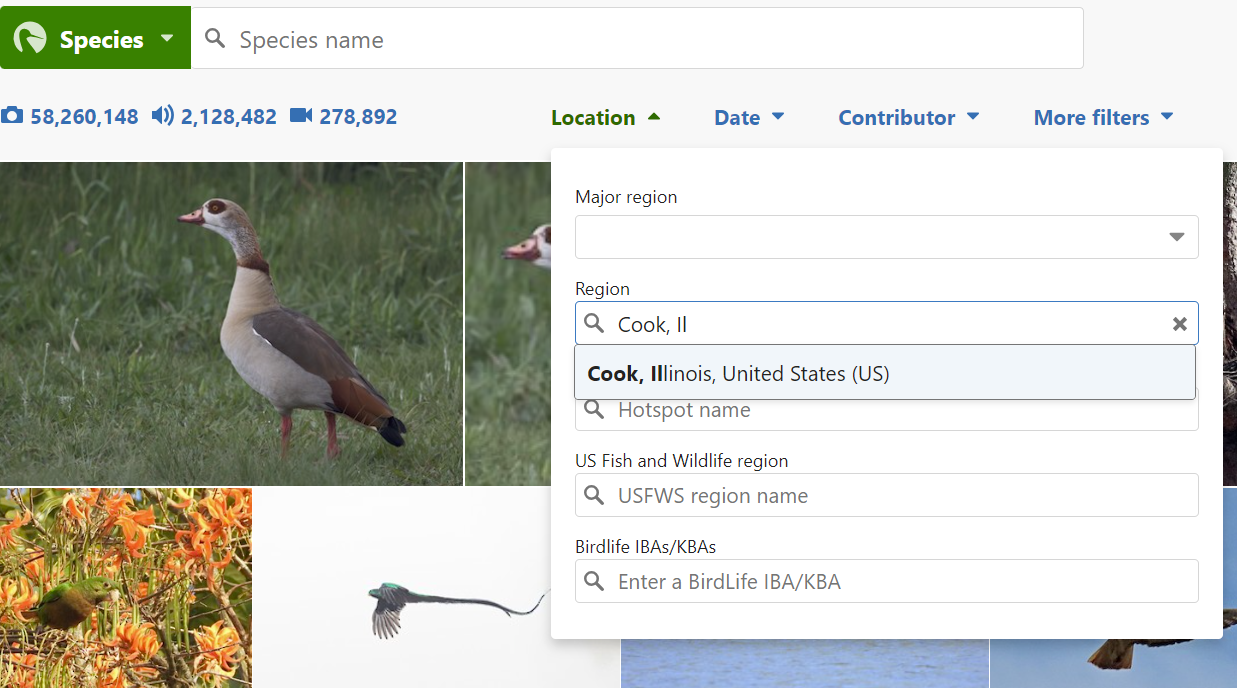 Tune Up For Spring! Using eBird to Study Birds — Chicago Bird Alliance ...