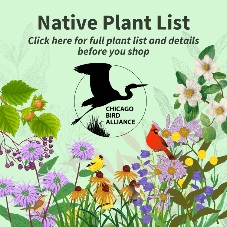 Native Plant Sale — Chicago Bird Alliance (formerly Chicago Audubon ...