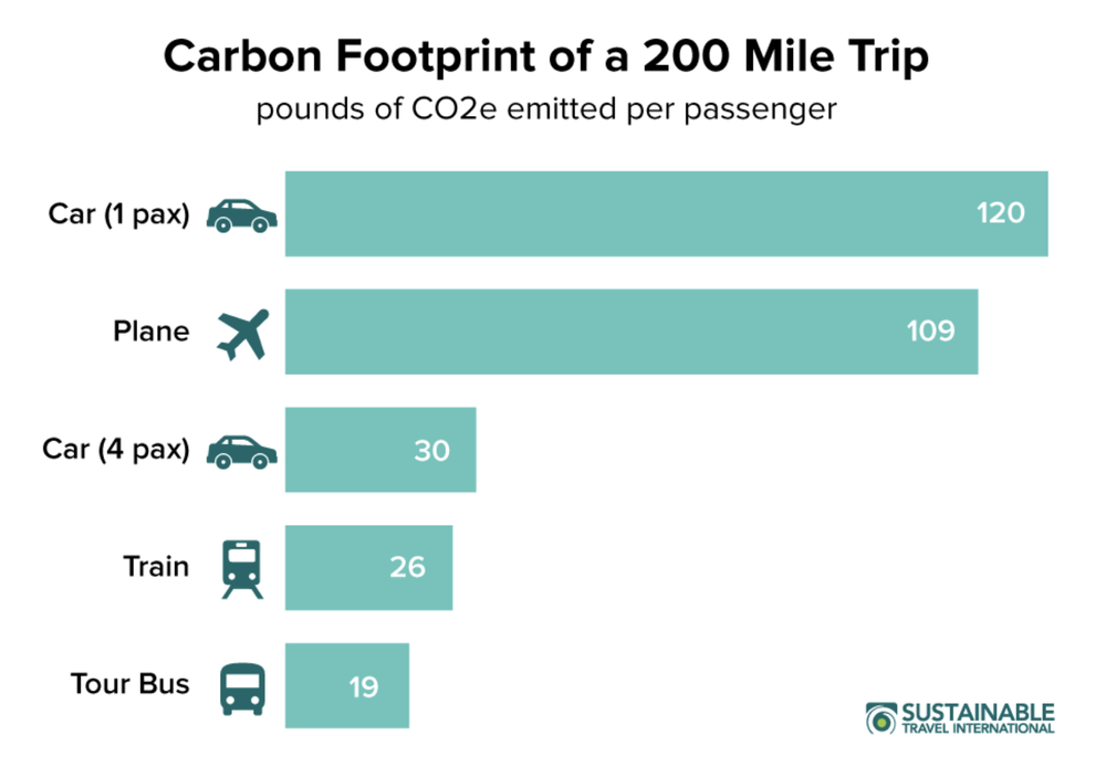 A Year of Helping Birds: Reduce Your Carbon Footprint — Chicago Bird ...