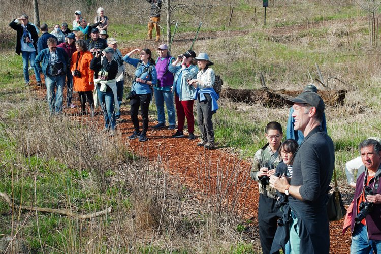 North Park Village Nature Center — Chicago Bird Alliance (formerly ...