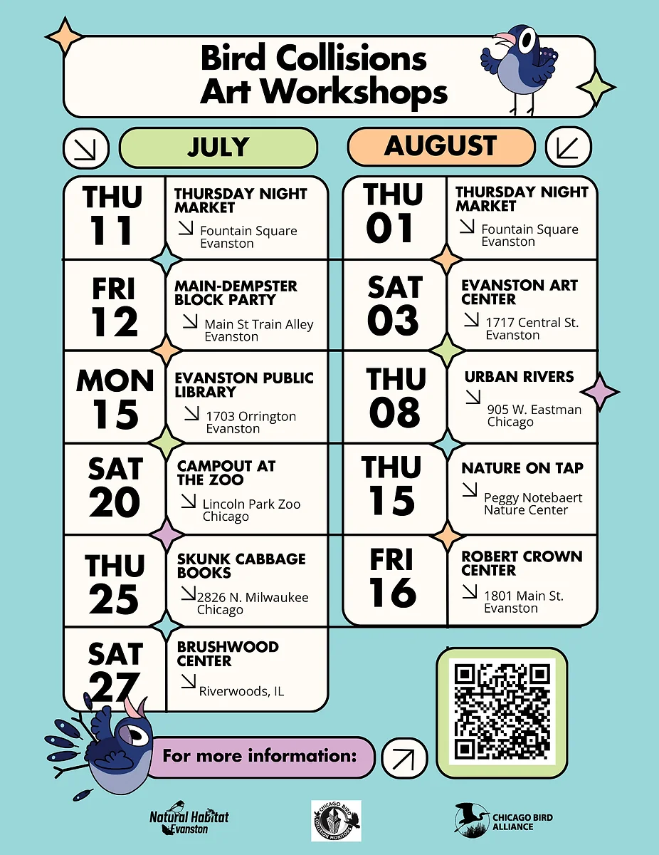 Your help needed: Chicago's bird collision art project — Chicago Bird ...