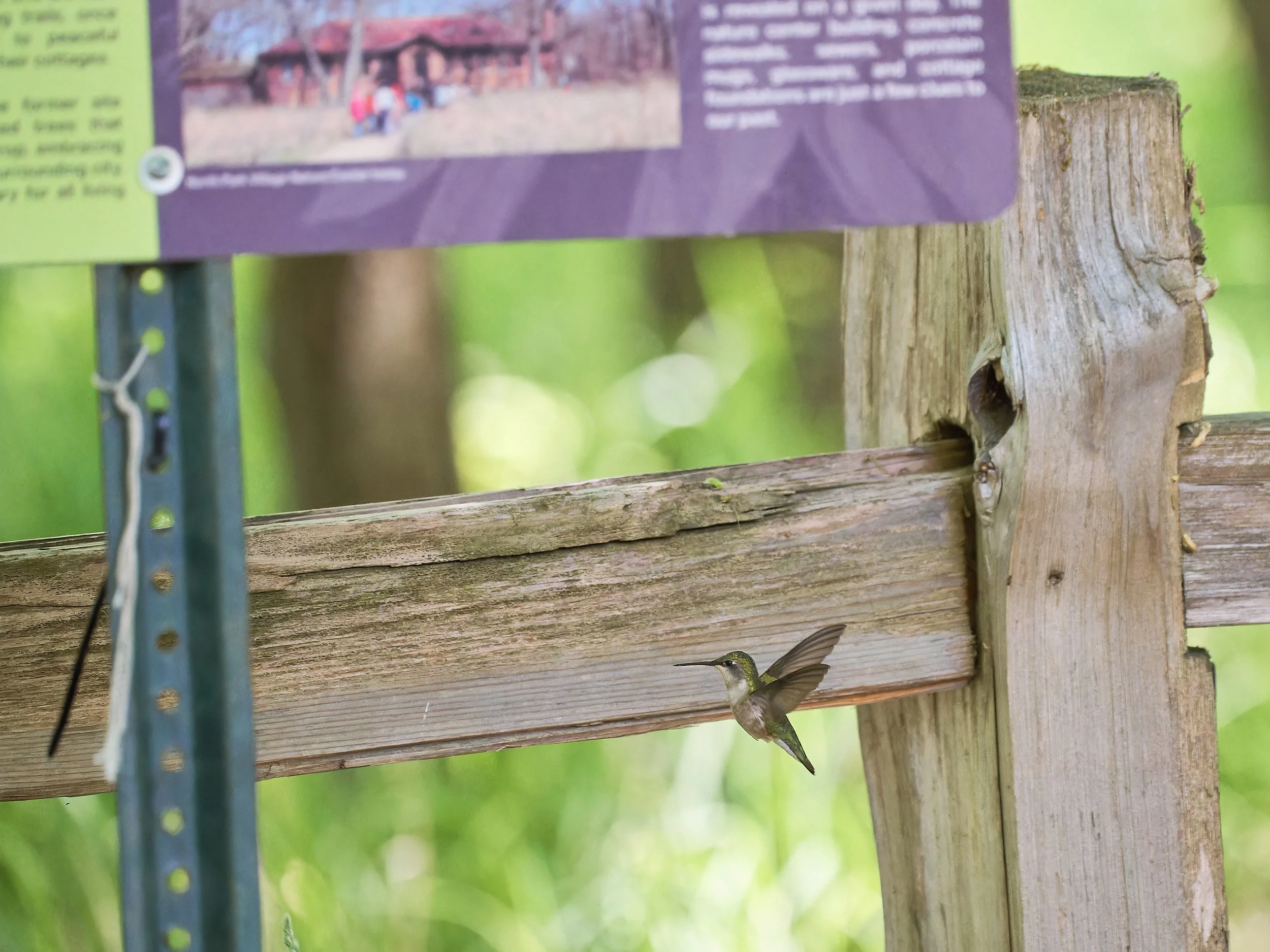 North Park Village Nature Center — Chicago Bird Alliance (formerly ...