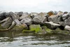 The Living Breakwaters: A model for nature-based infrastructure ...
