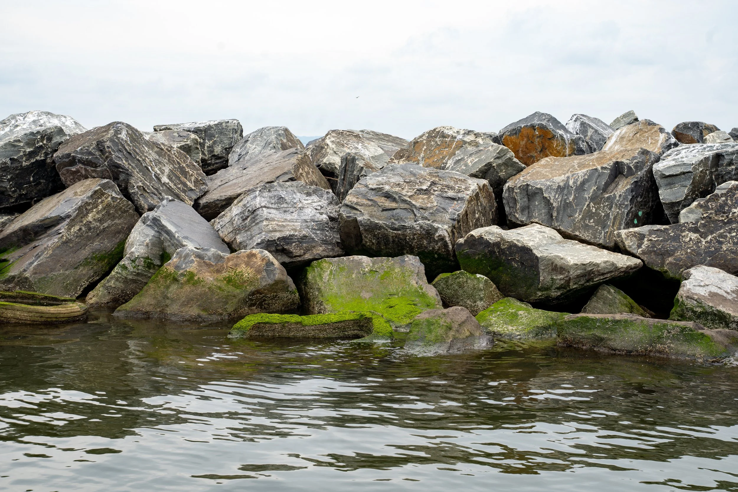 The Living Breakwaters: A model for nature-based infrastructure ...