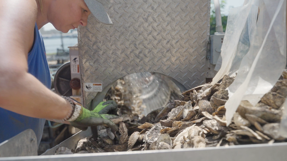 Shell Recycling Program — Billion Oyster Project