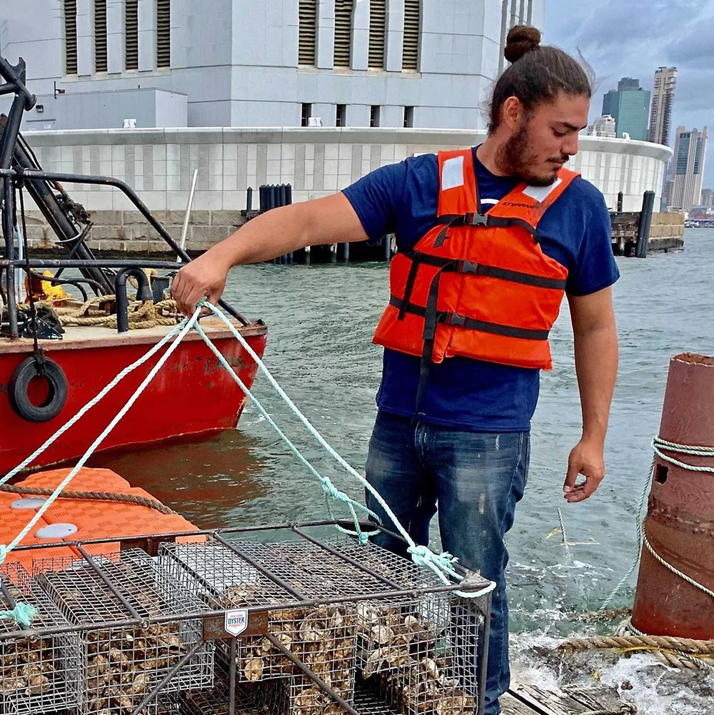 Meet our Crew: Steven, Shinara, Charlotte & Marc — Billion Oyster Project