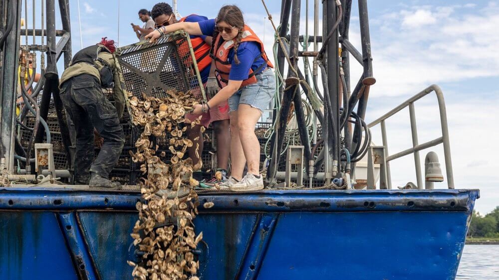 Billion Oyster Project