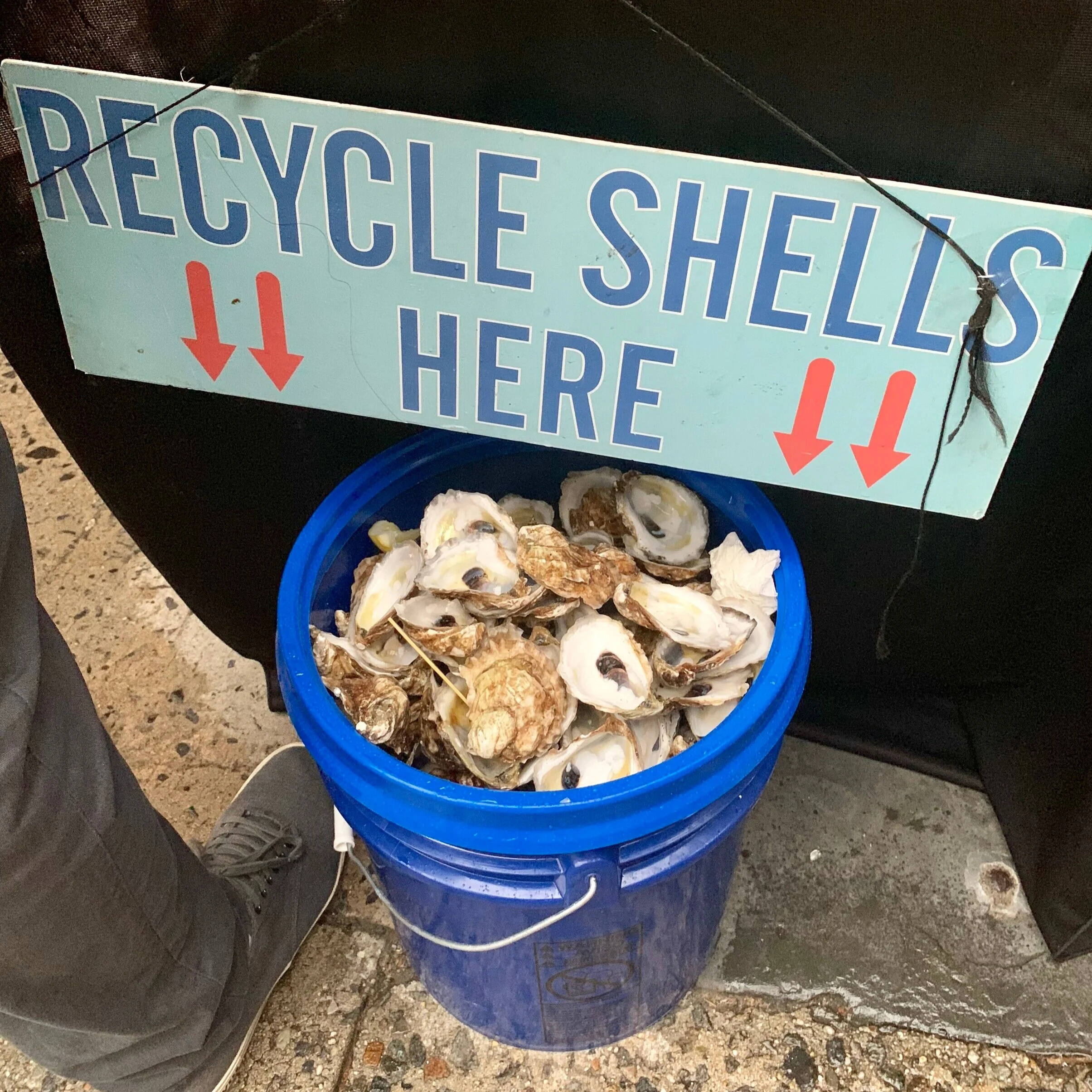 Shell Collection Restaurants — Billion Oyster Project