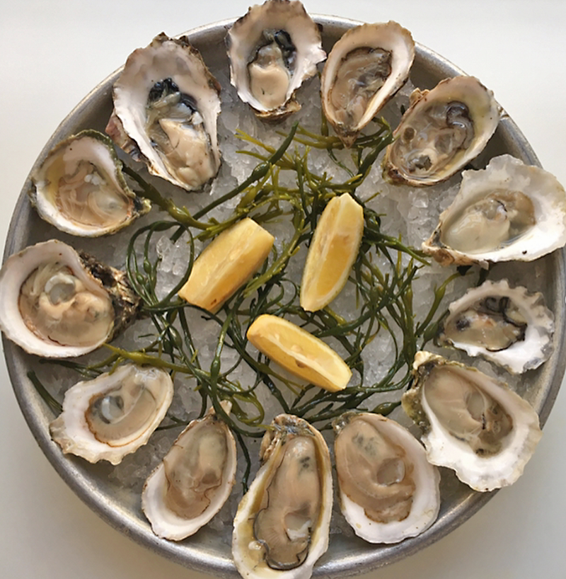 Shell Collection Restaurants — Billion Oyster Project