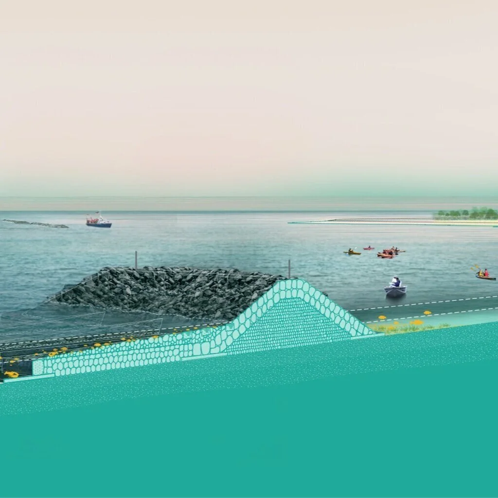 Living Breakwaters Curriculum — Billion Oyster Project