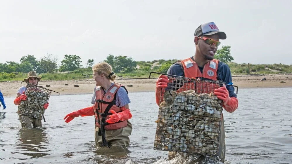 CORPORATE PARTNERS — Billion Oyster Project