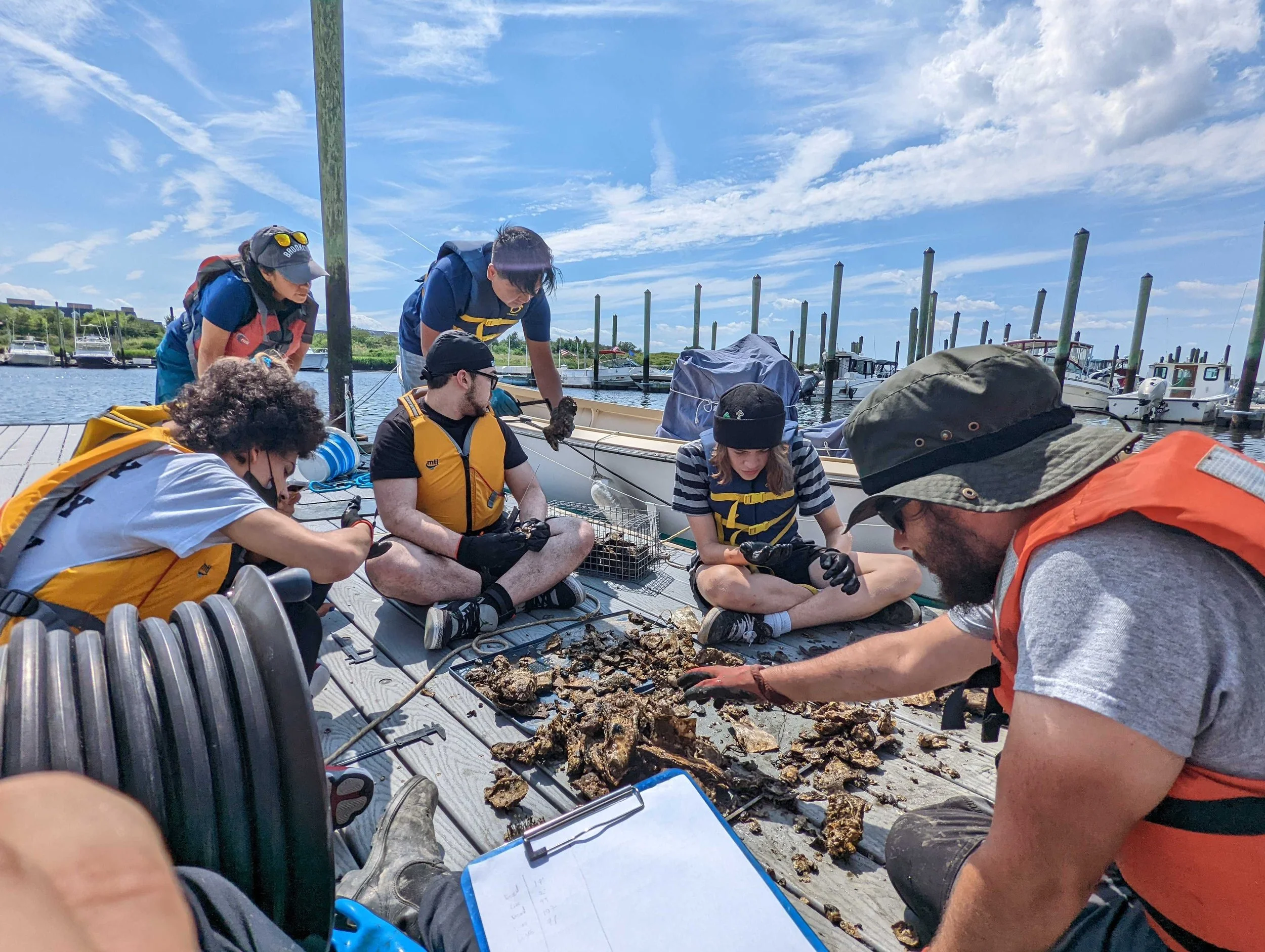 CAREERS — Billion Oyster Project