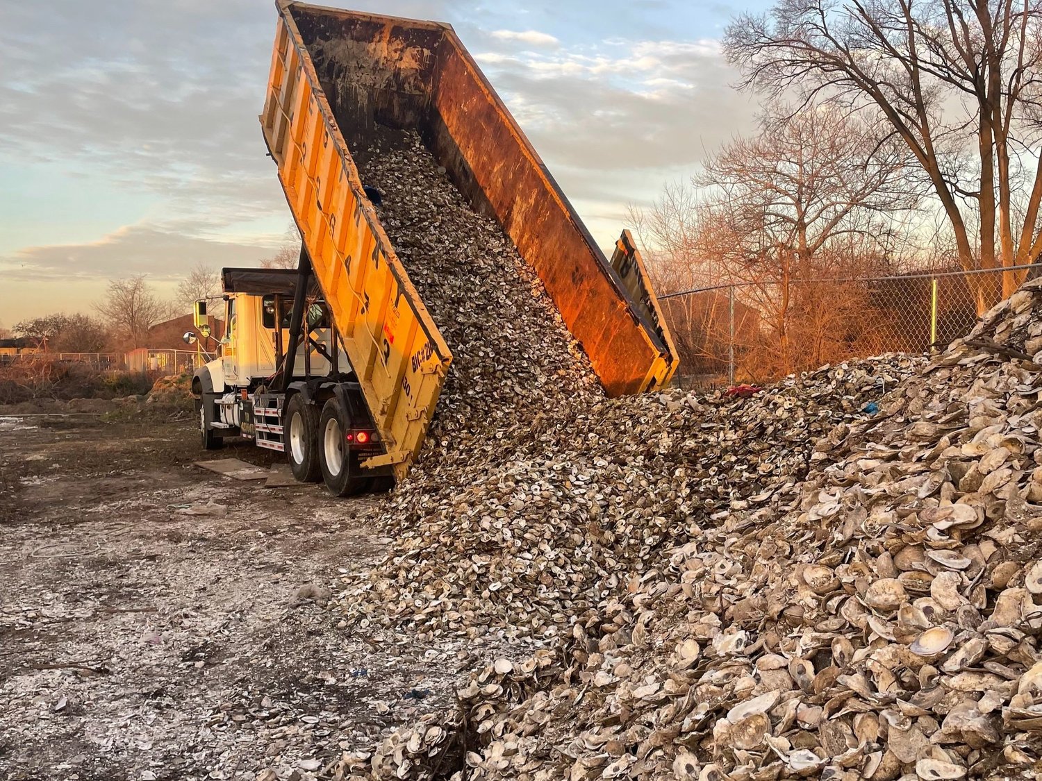 Shell Recycling Program — Billion Oyster Project