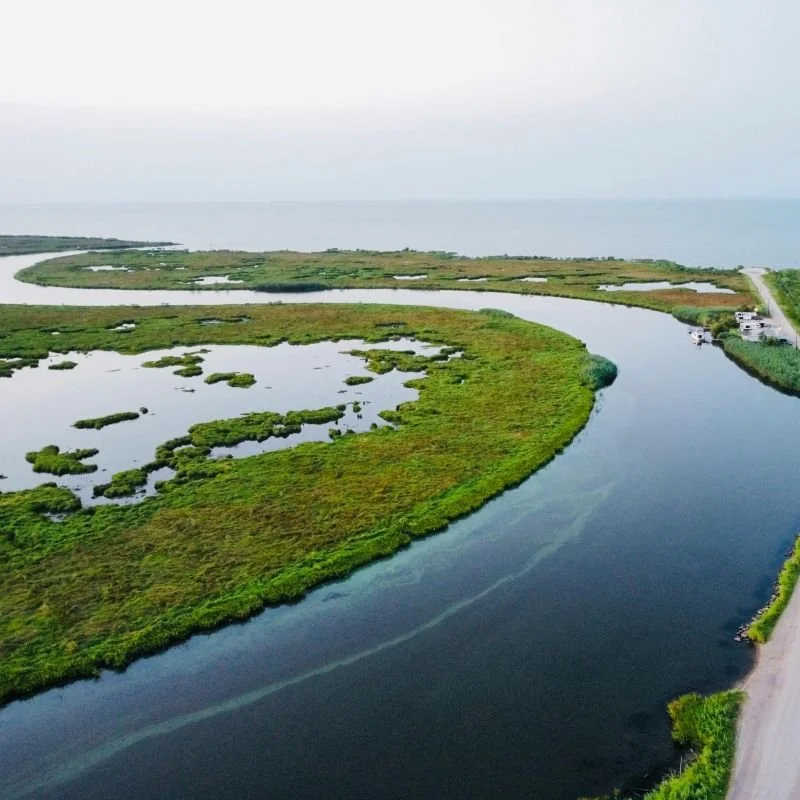 How Estuaries Shape Our Oceans—and Why That Matters — Billion Oyster ...