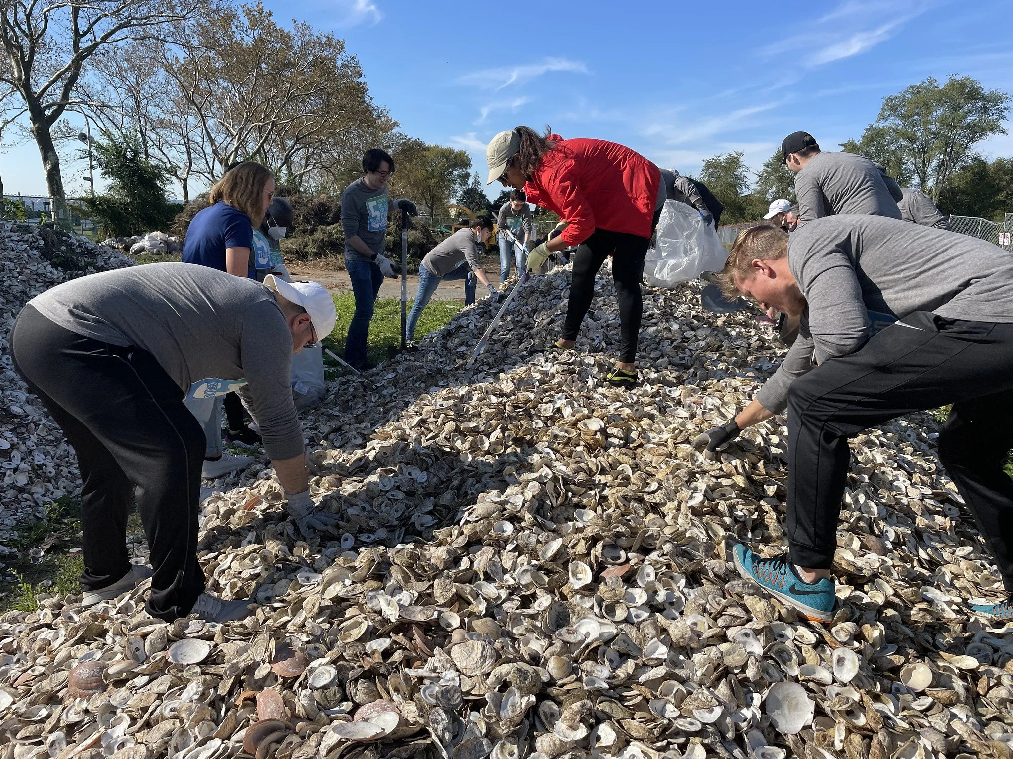 Volunteer — Billion Oyster Project