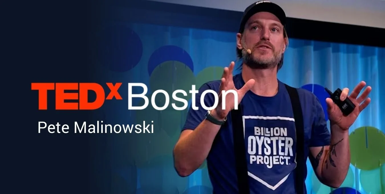 How Estuaries Shape Our Oceans—and Why That Matters — Billion Oyster ...