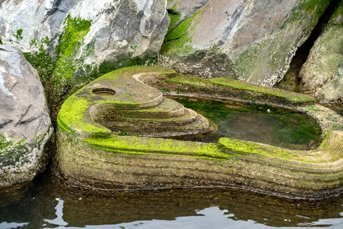 The Living Breakwaters: A model for nature-based infrastructure ...