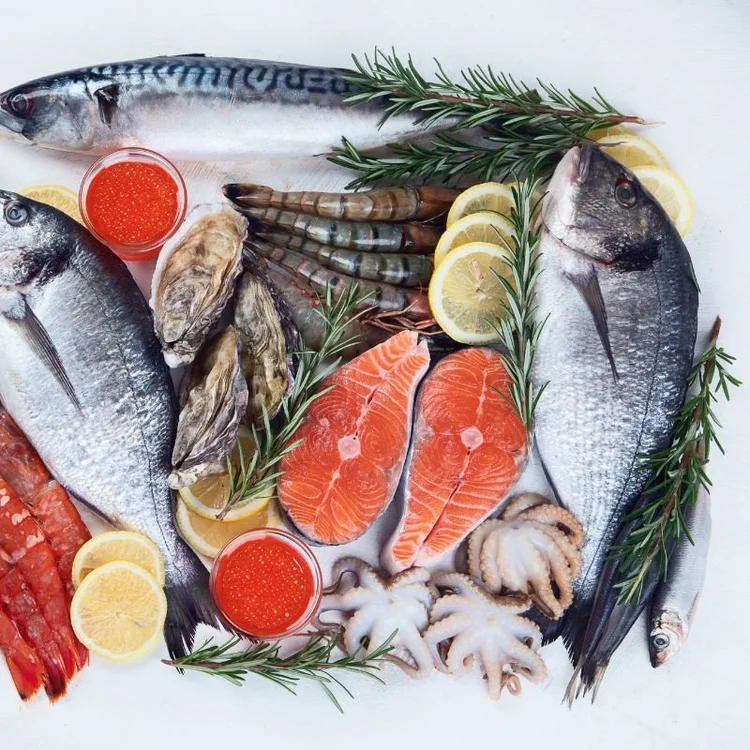 How Estuaries Shape Our Oceans—and Why That Matters — Billion Oyster ...