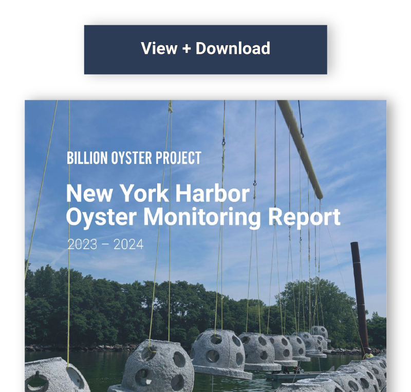 Scientific Research — Billion Oyster Project