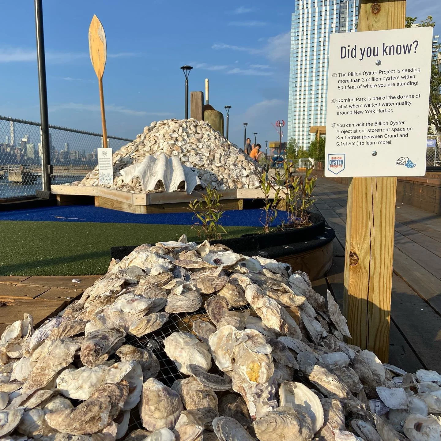 Collaborations — Billion Oyster Project