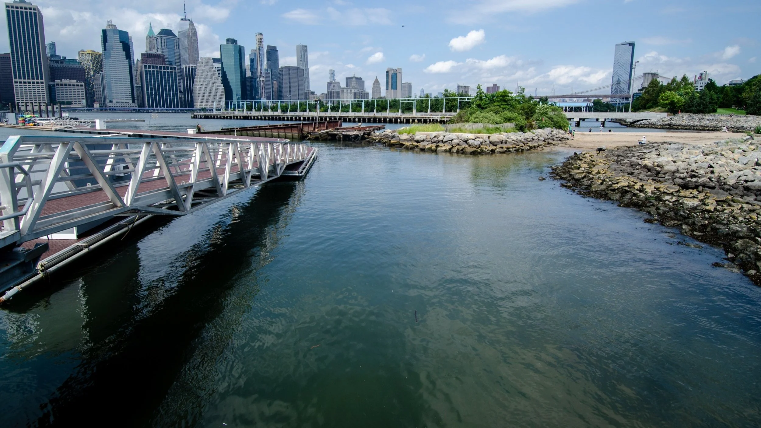 History of New York Harbor — Billion Oyster Project