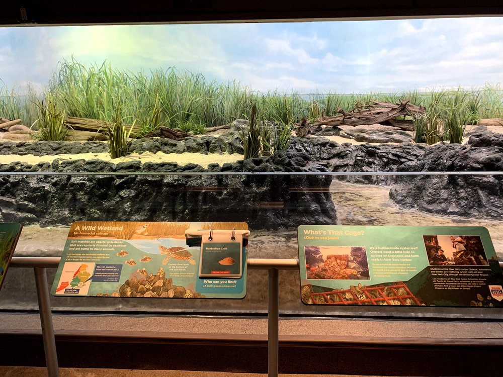 COLLABORATIONS — Billion Oyster Project