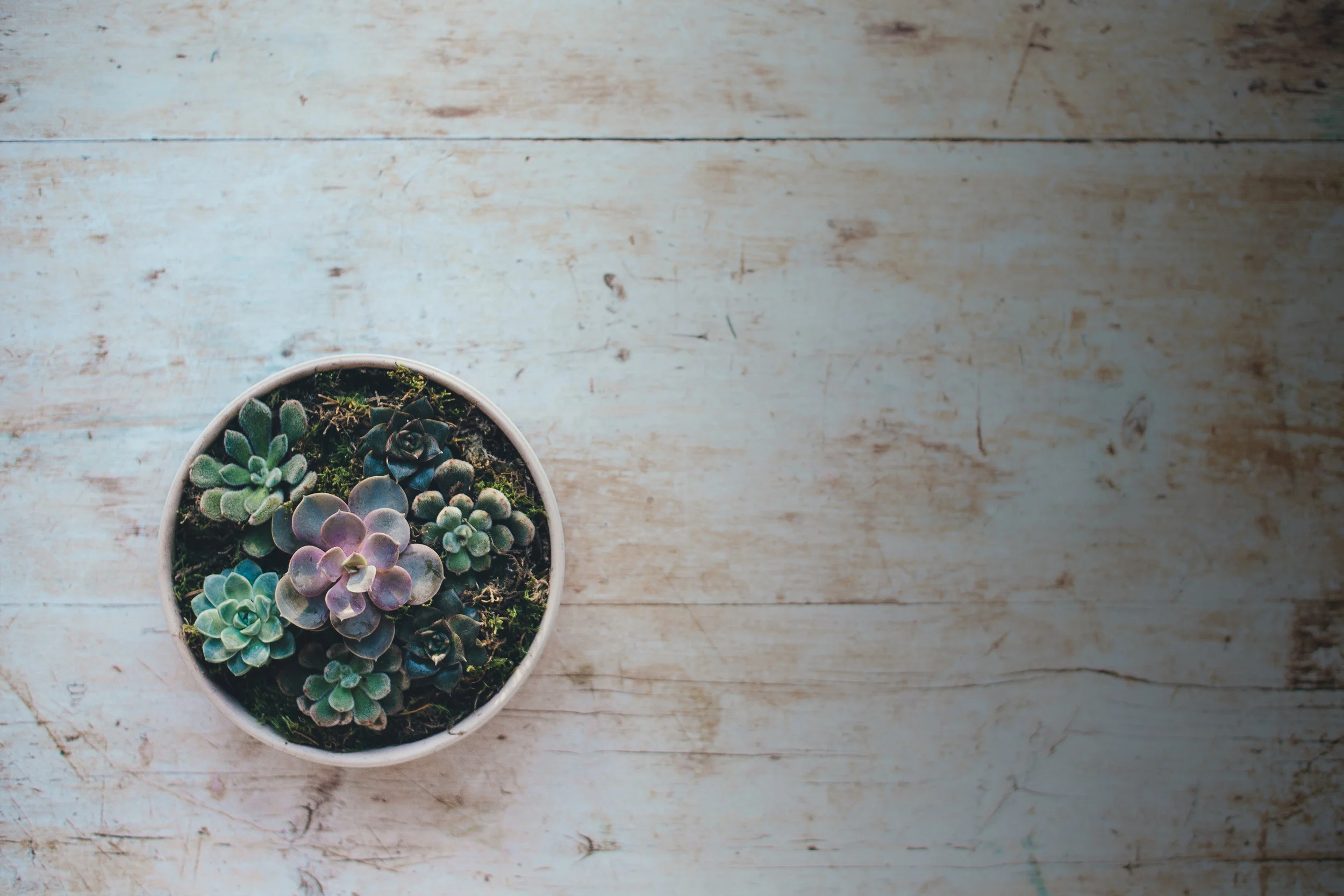 Massage Studio Kansas City | Kansas City Massage Professionals