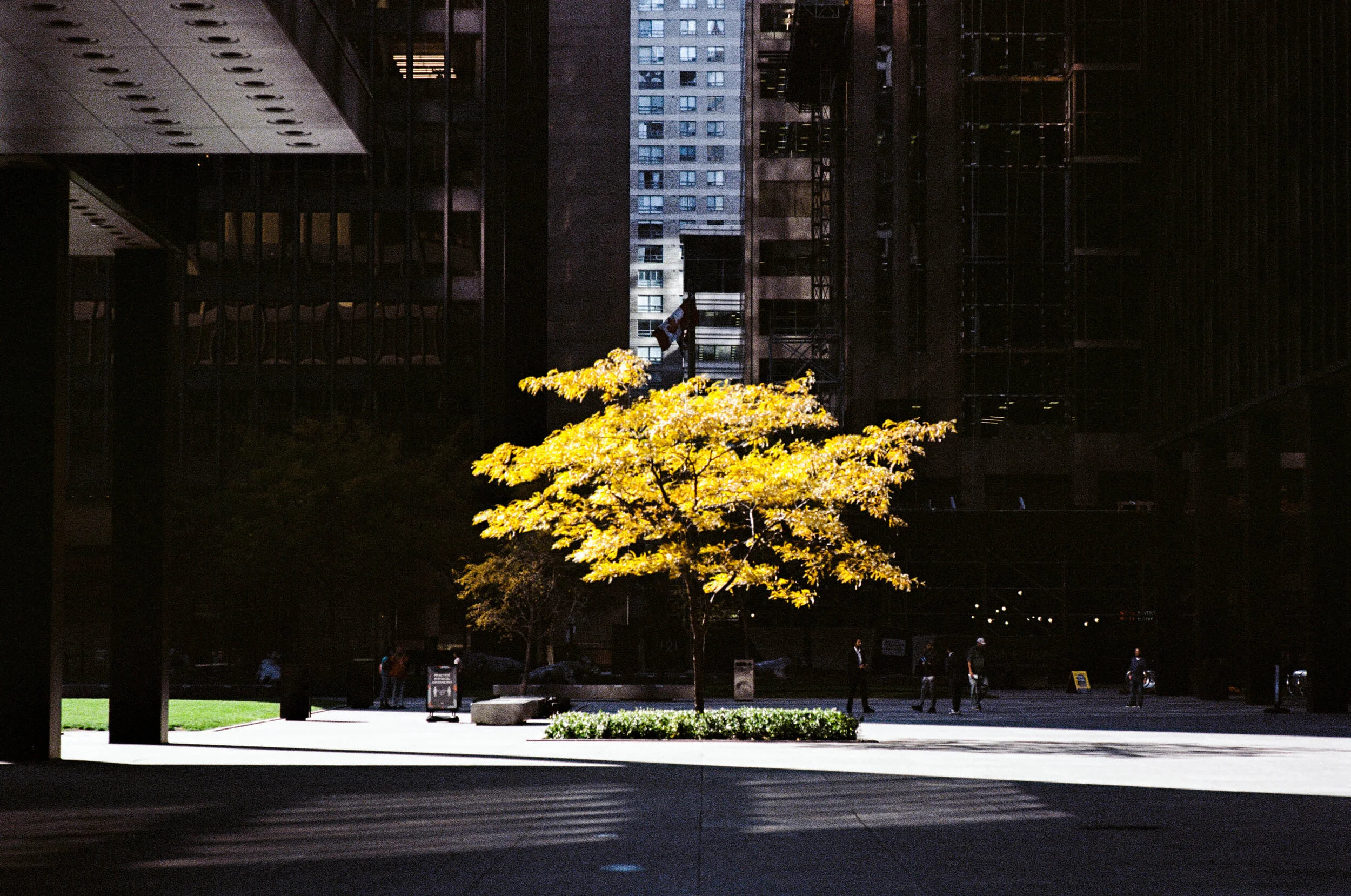 Candid Portrait Photography — Sameer W. Jafar