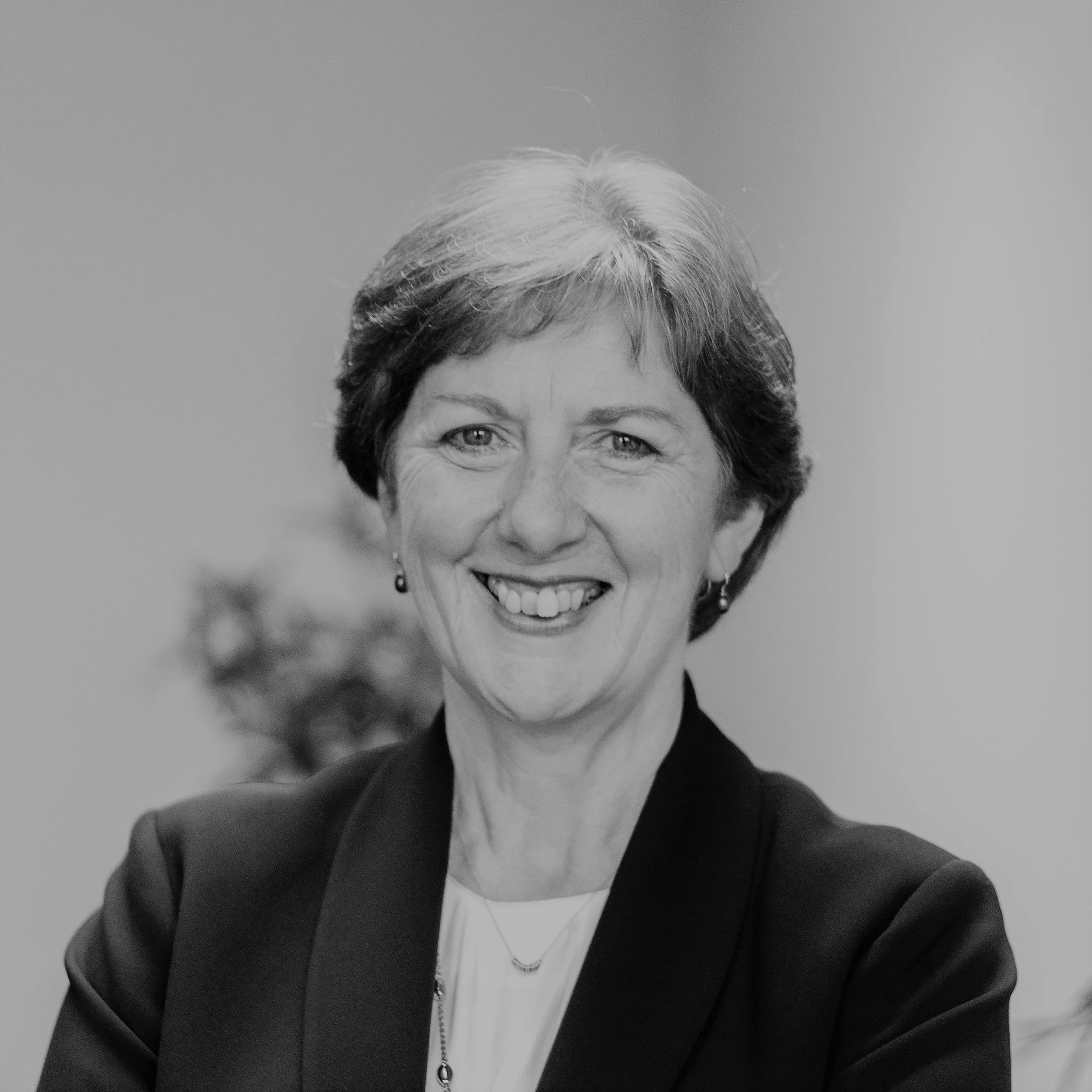 Who we Are — Phoenix HR & OD Consulting