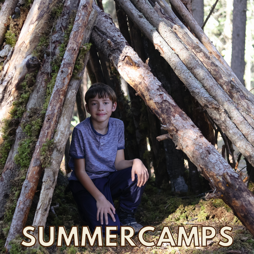 Programs — Rediscover Play