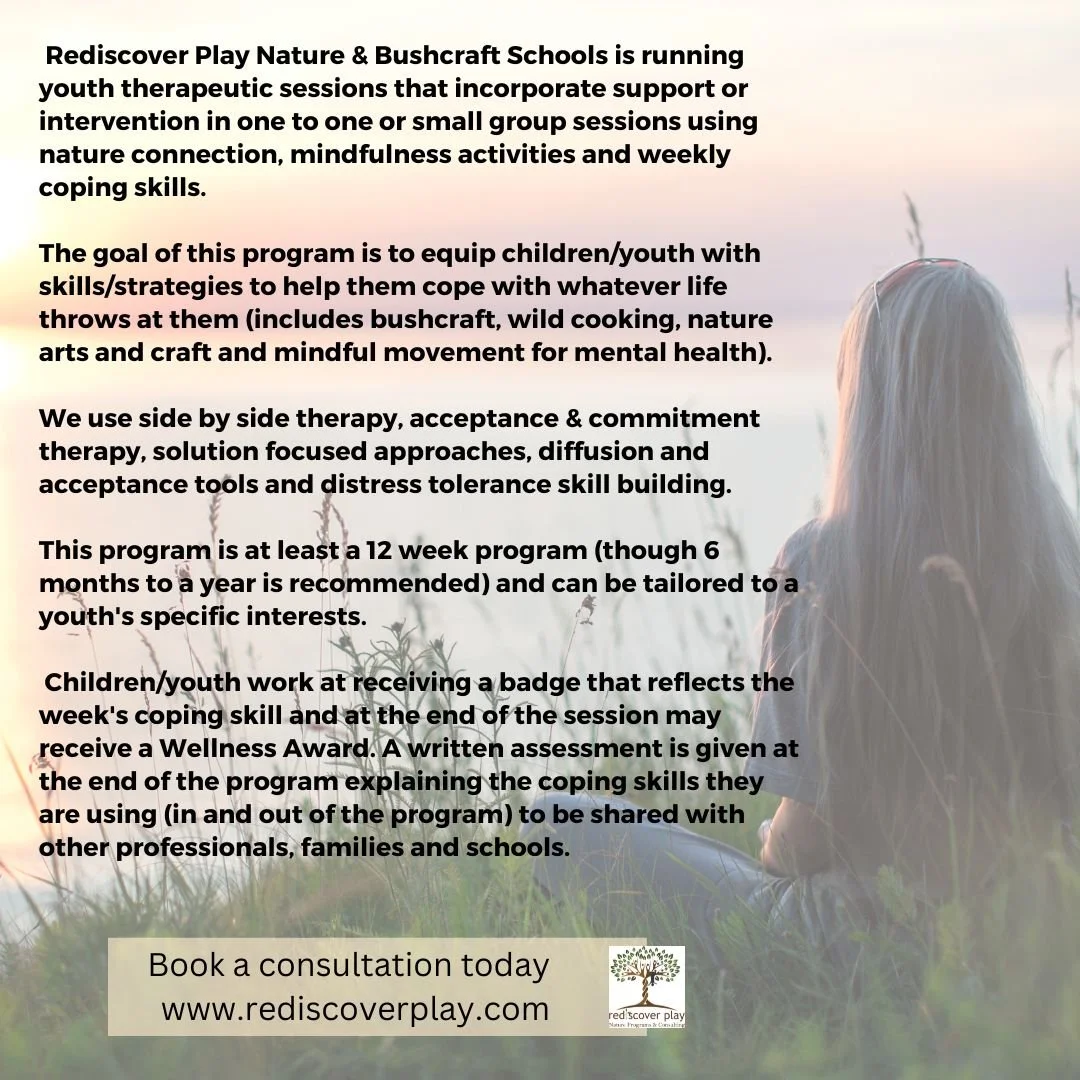 Therapeutic Sessions — Rediscover Play