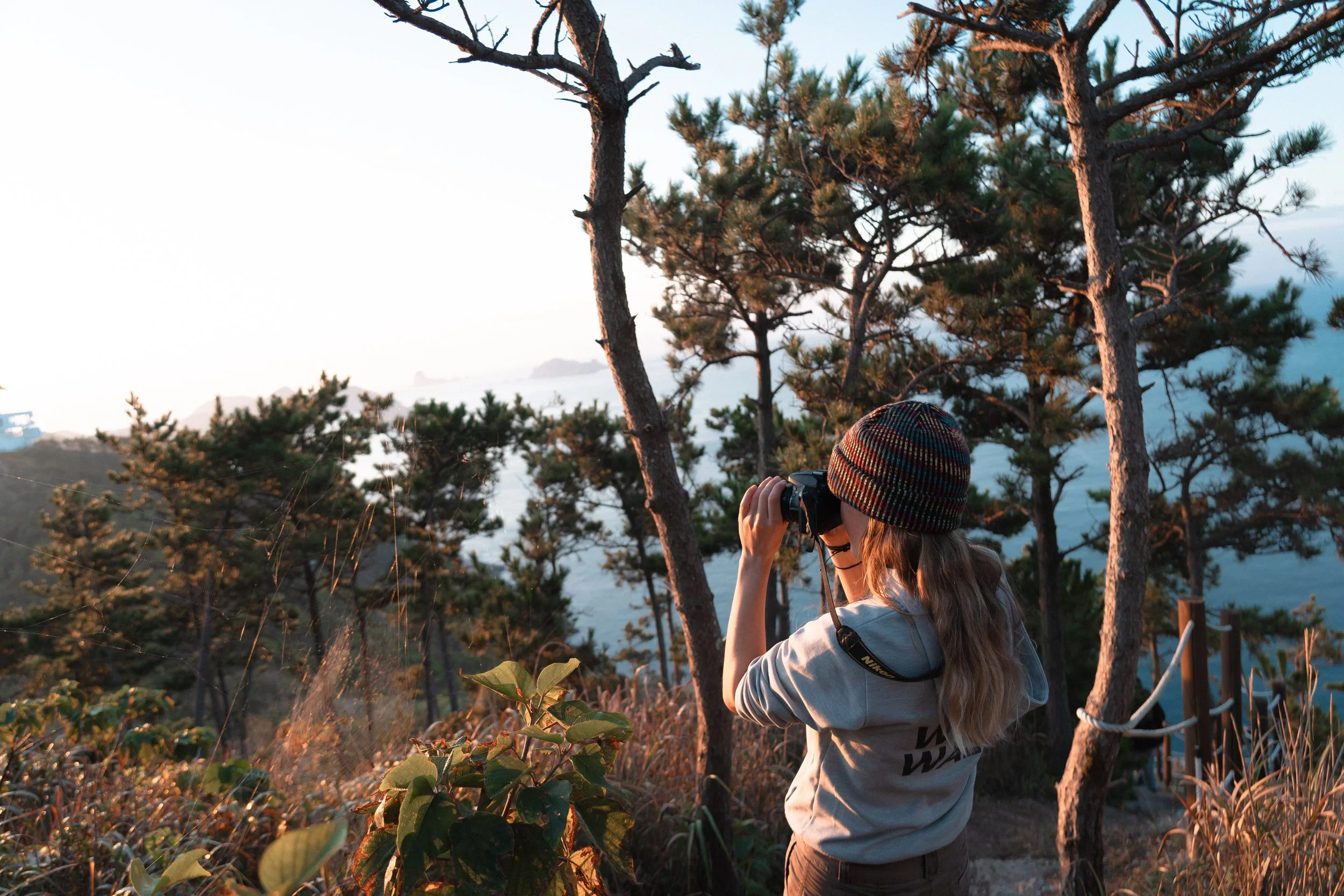 6 Camping Attractions on Chujado Island, Jeju, South Korea — NomadHer