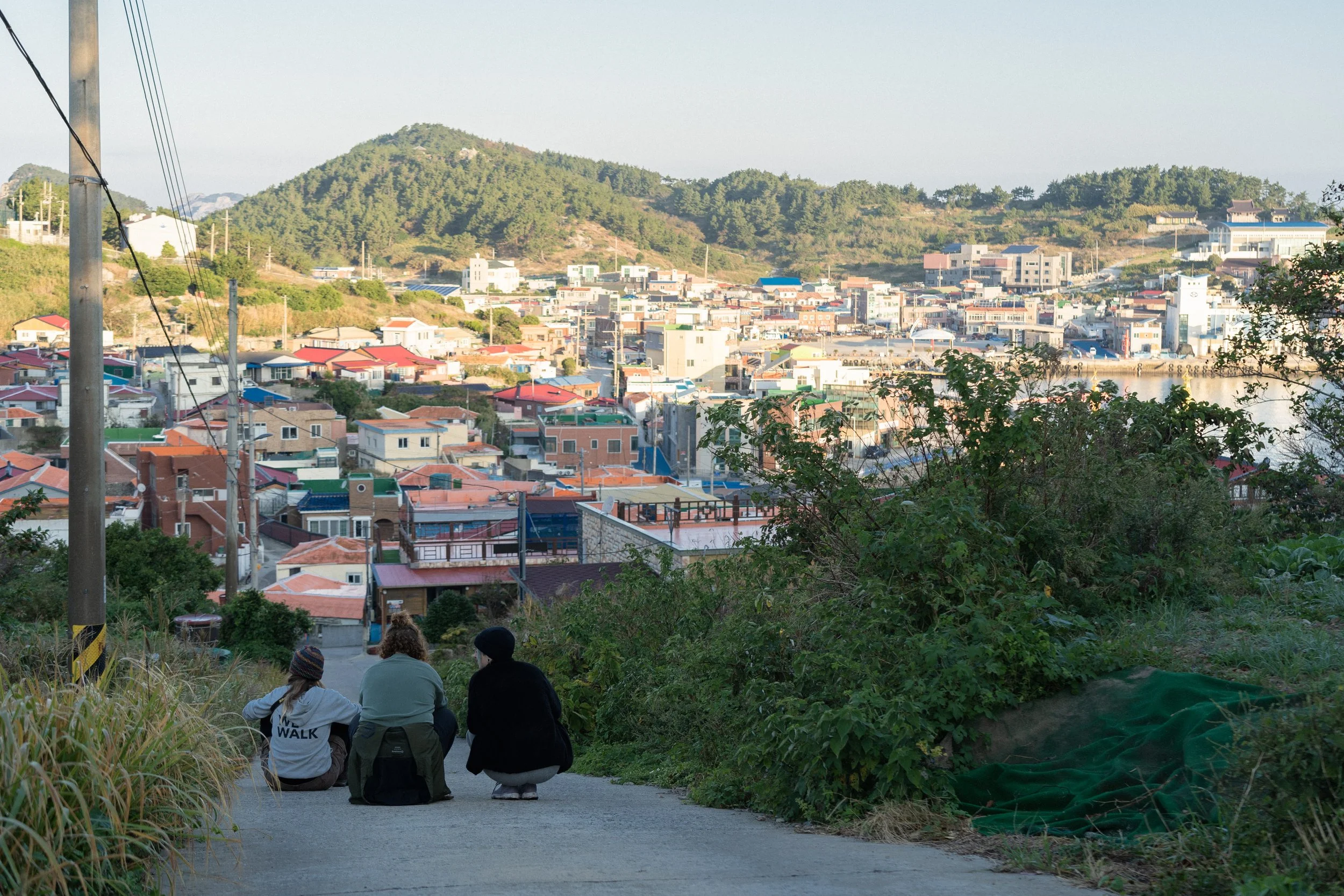 6 Camping Attractions on Chujado Island, Jeju, South Korea — NomadHer