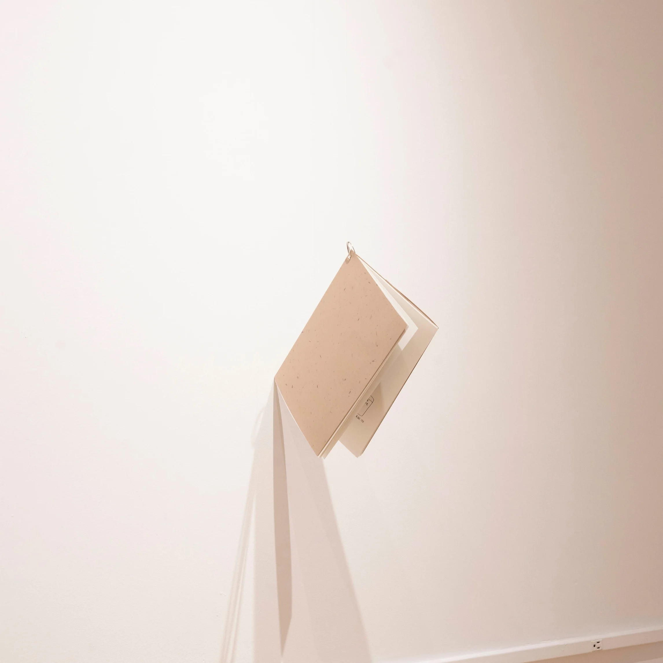 emily reimer Emily Reimer Artist