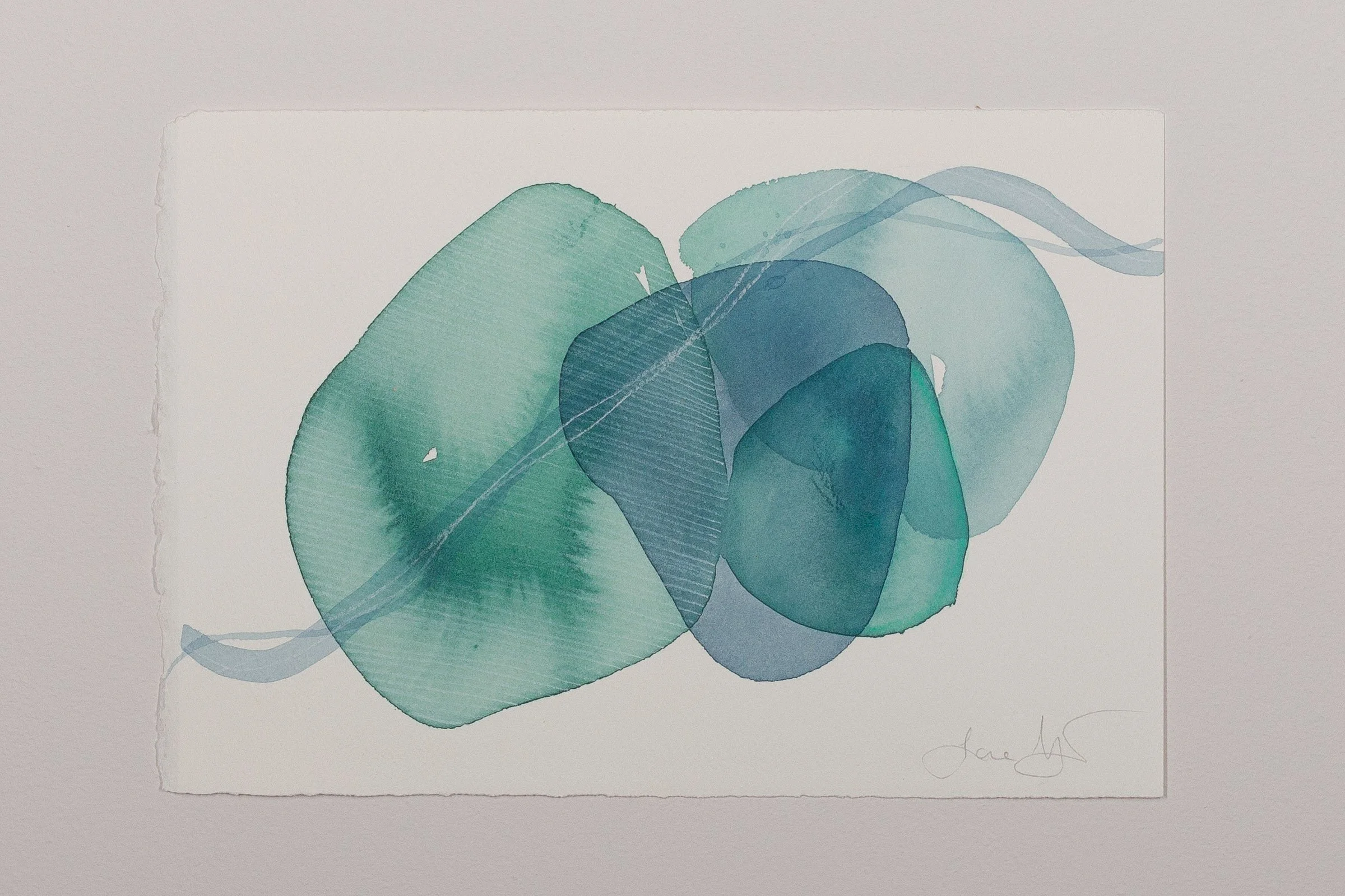 Shop — JANE HUNTER