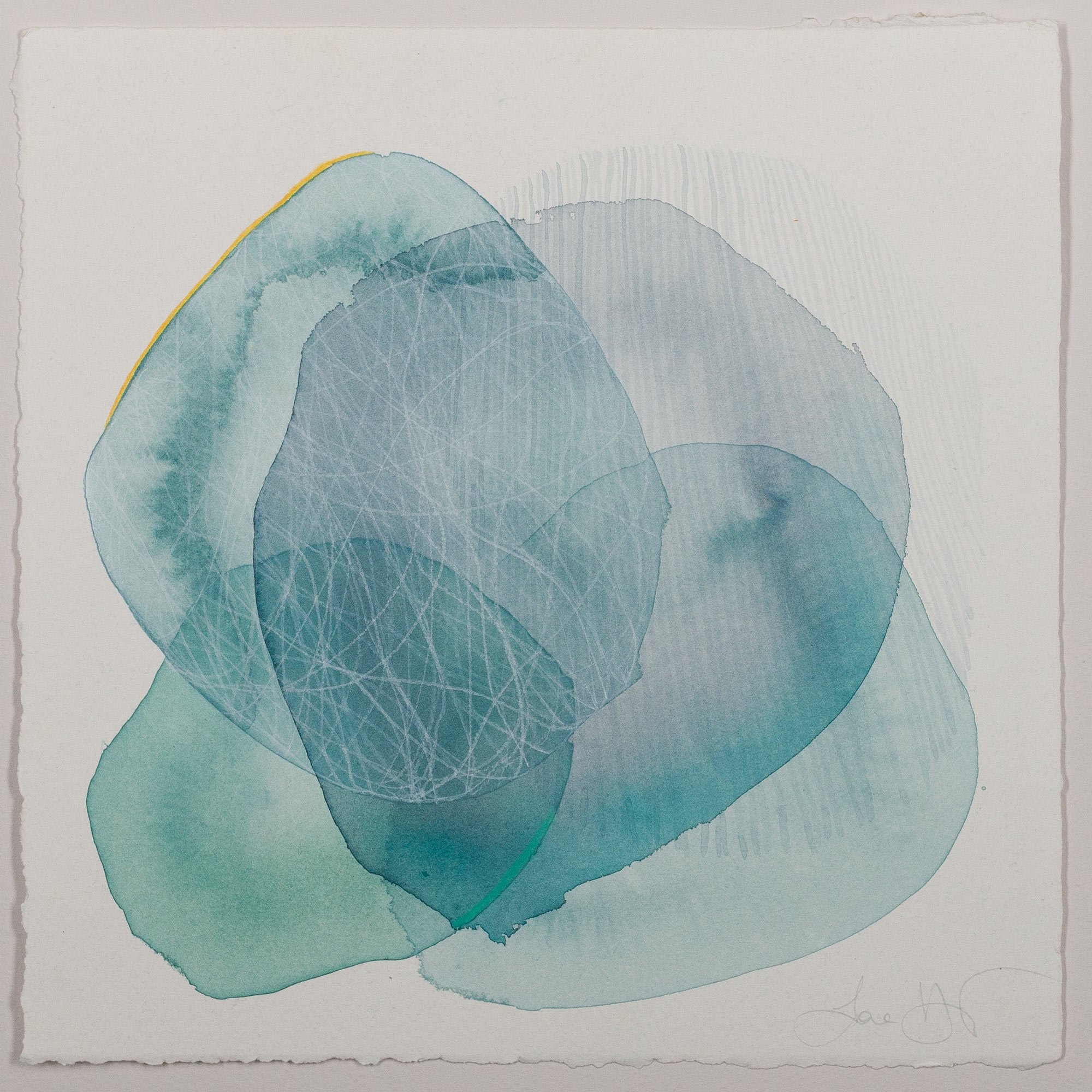 Shop — JANE HUNTER