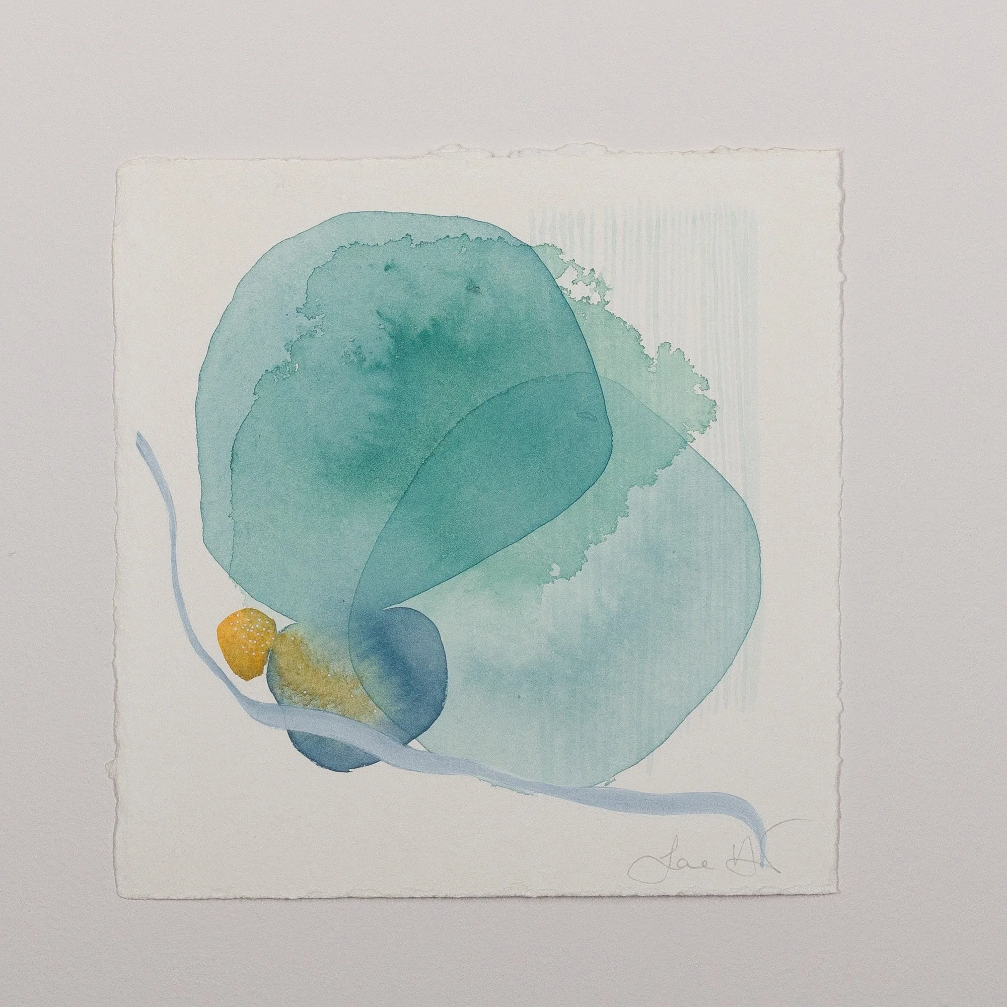 Confluence Studies — JANE HUNTER