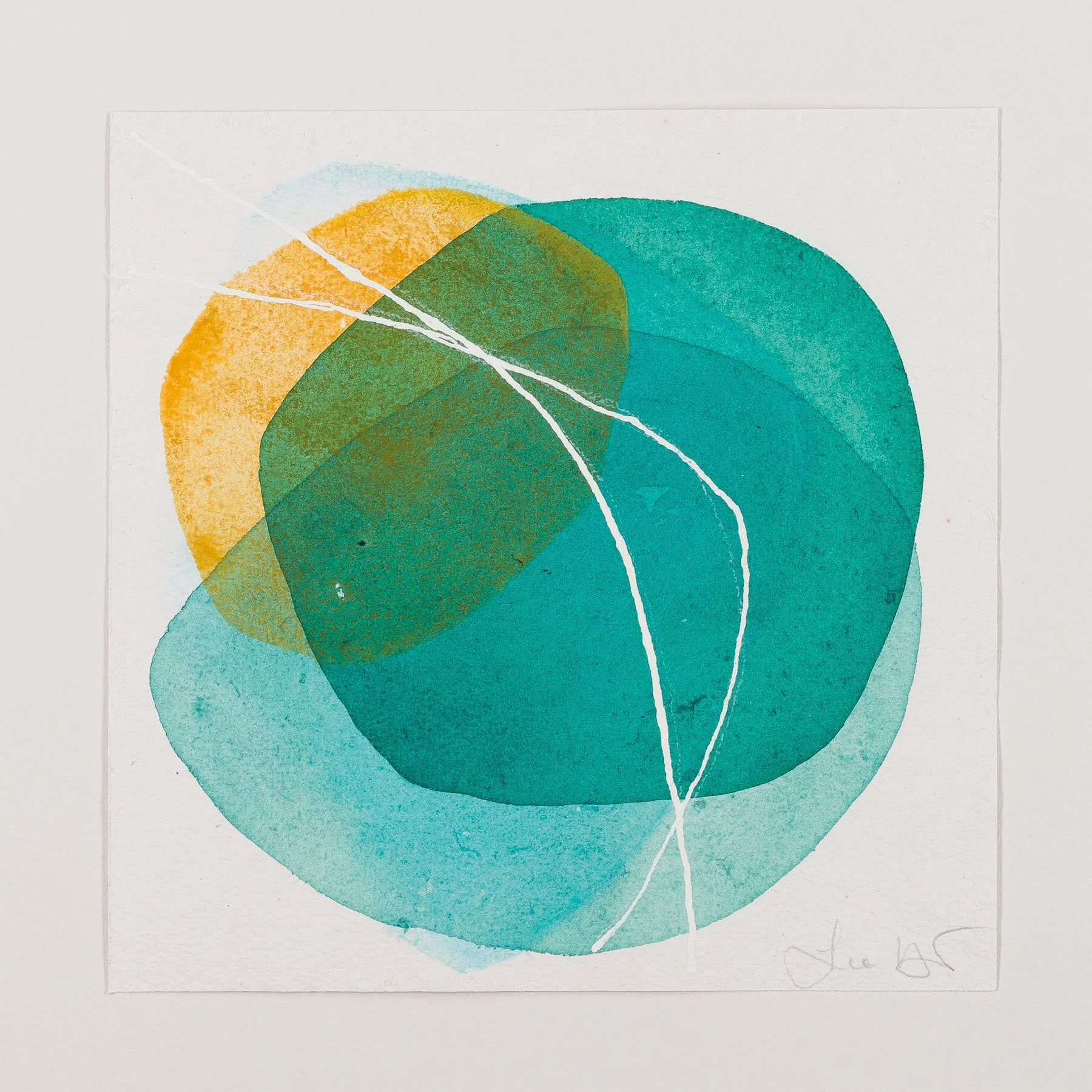 Shop — JANE HUNTER
