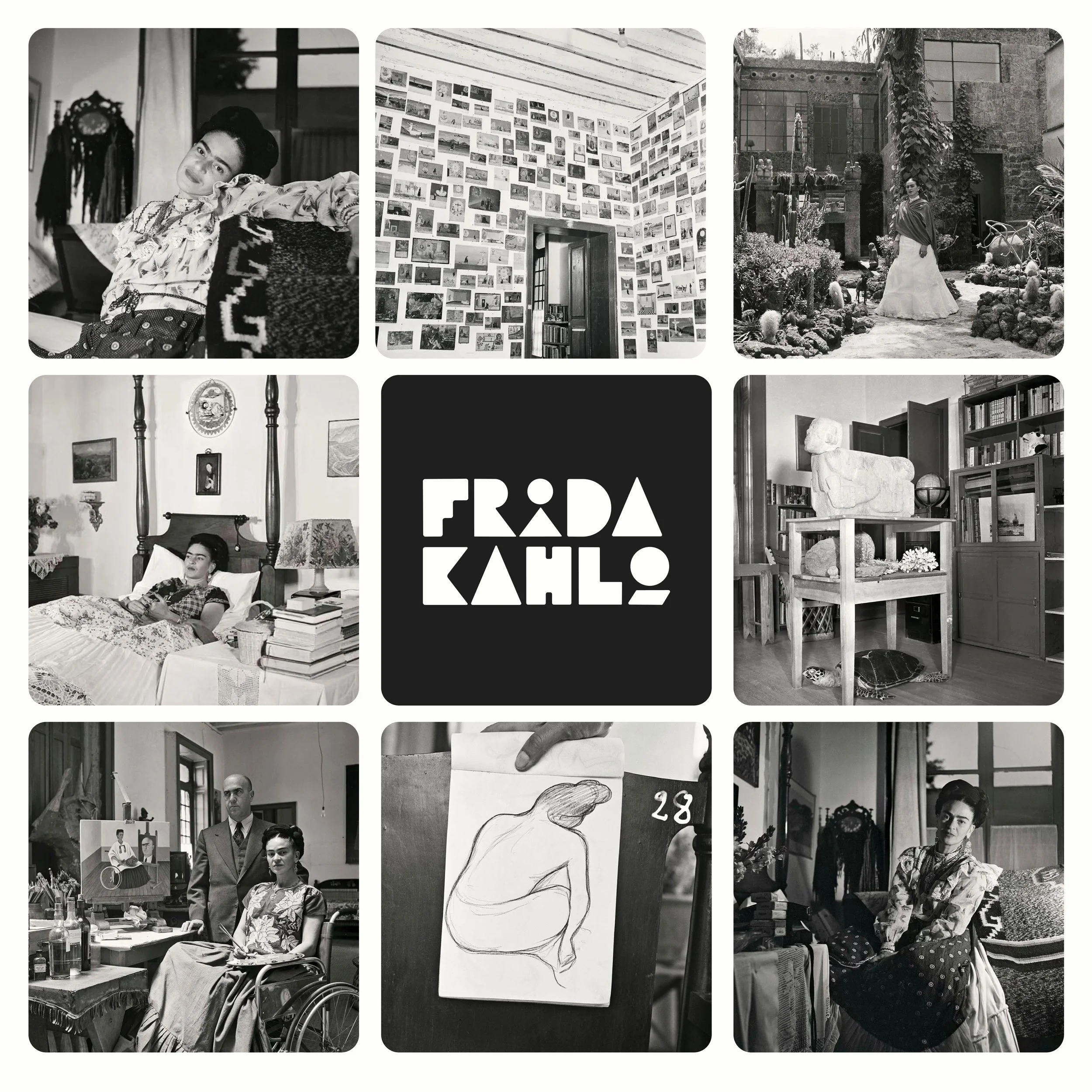 Frida Kahlo: Branding Identity System — Allyson Konz