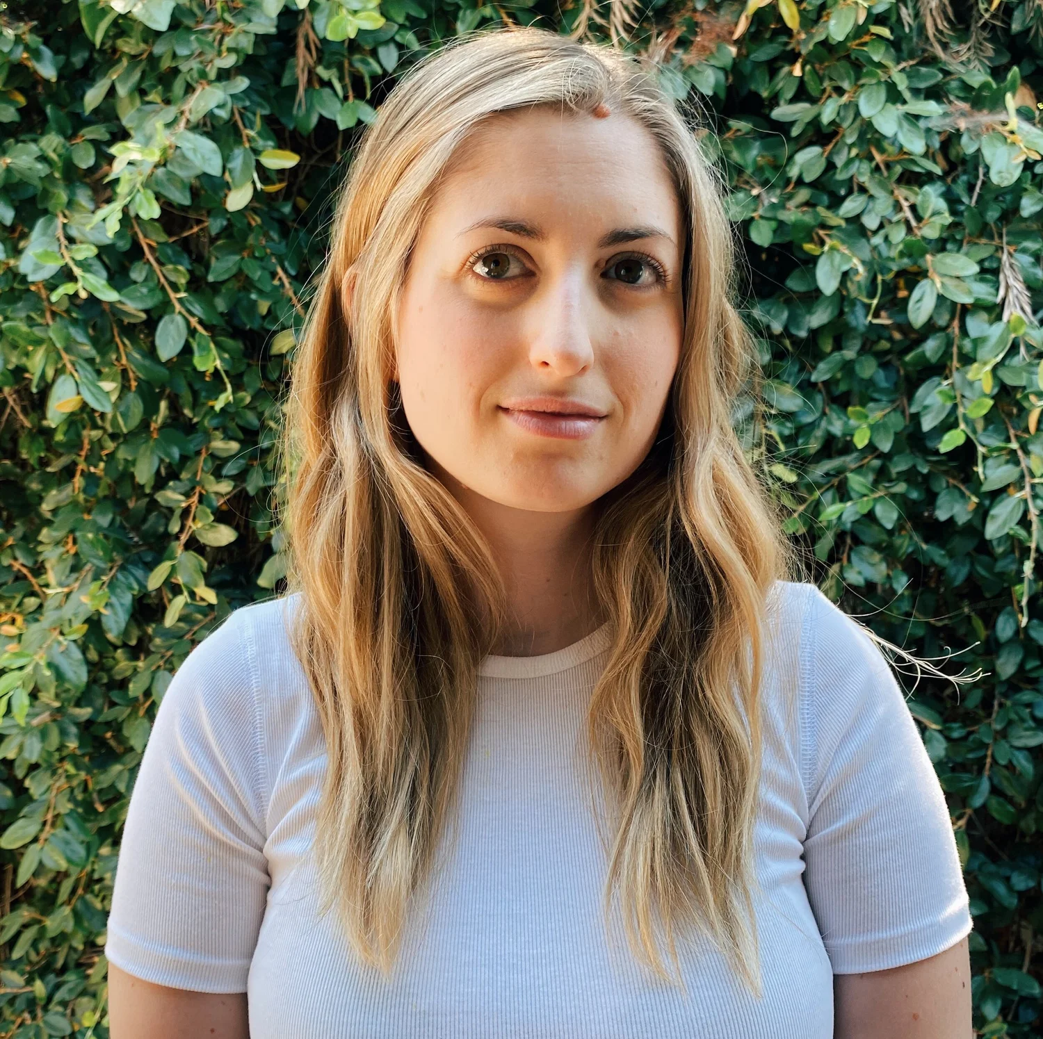 Our Roots — JILL GUTOWITZ