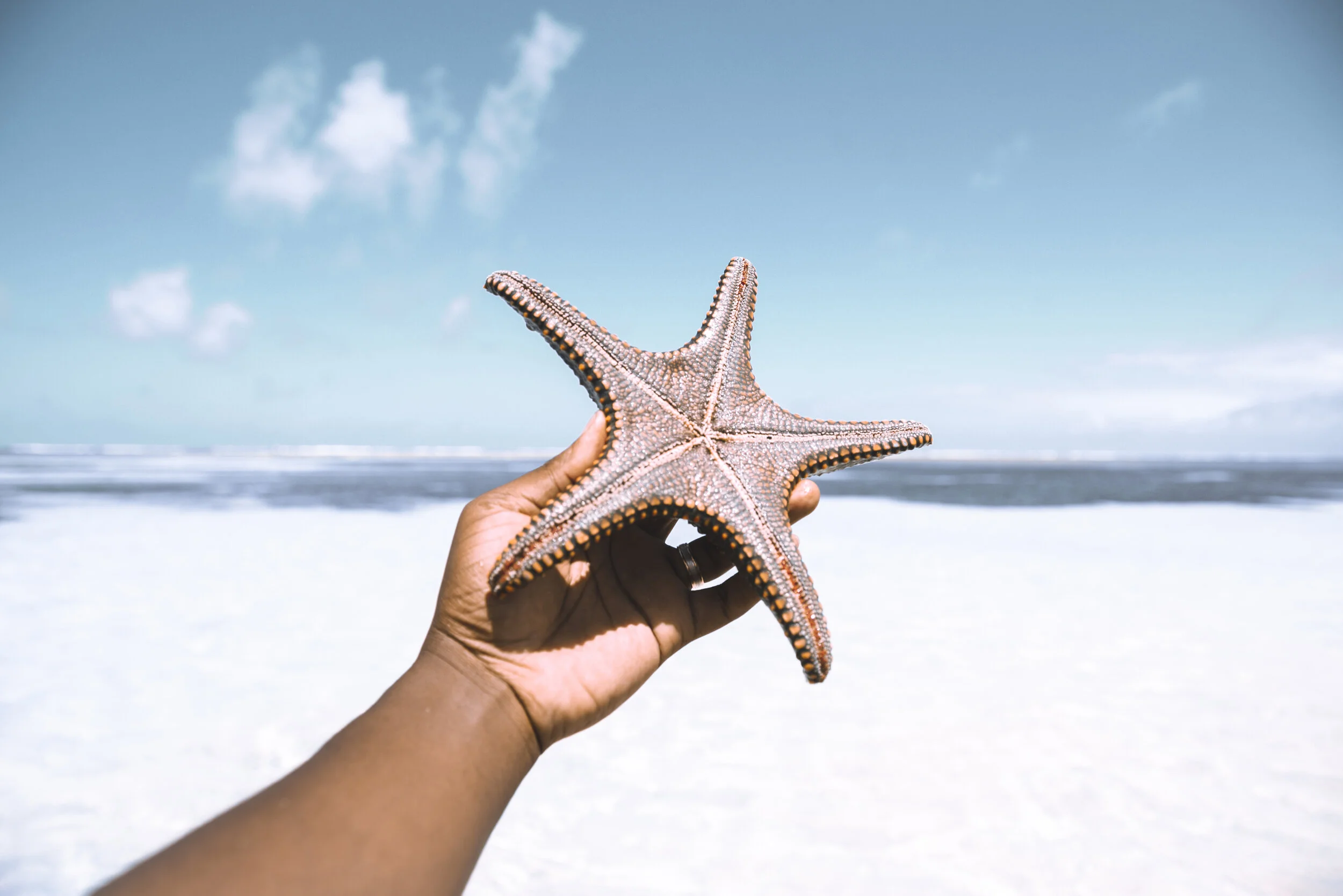 Starfish and the Power of Prayer — LaurieKehler.com